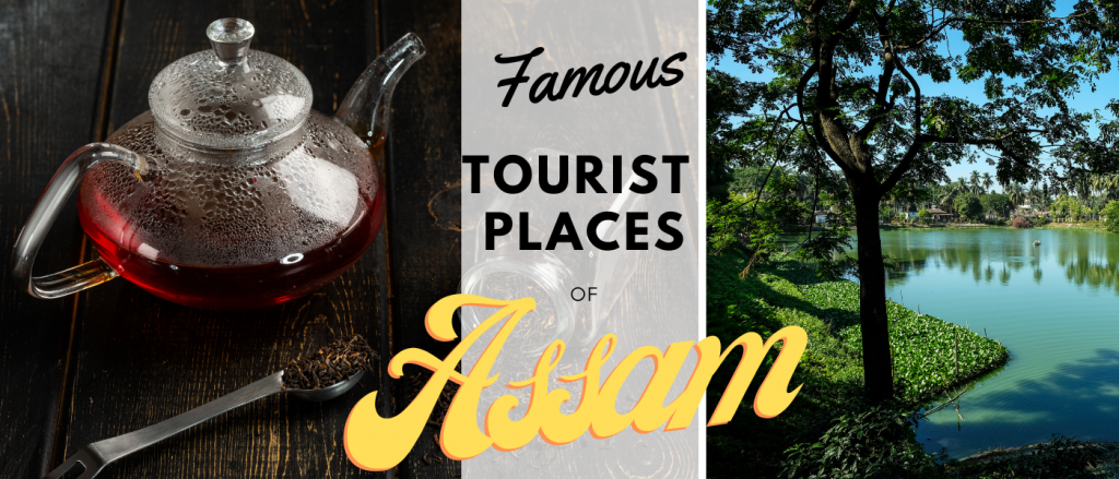 Famous Tourist Places Of Assam | Top Attractions in Assam | Travel Tricky